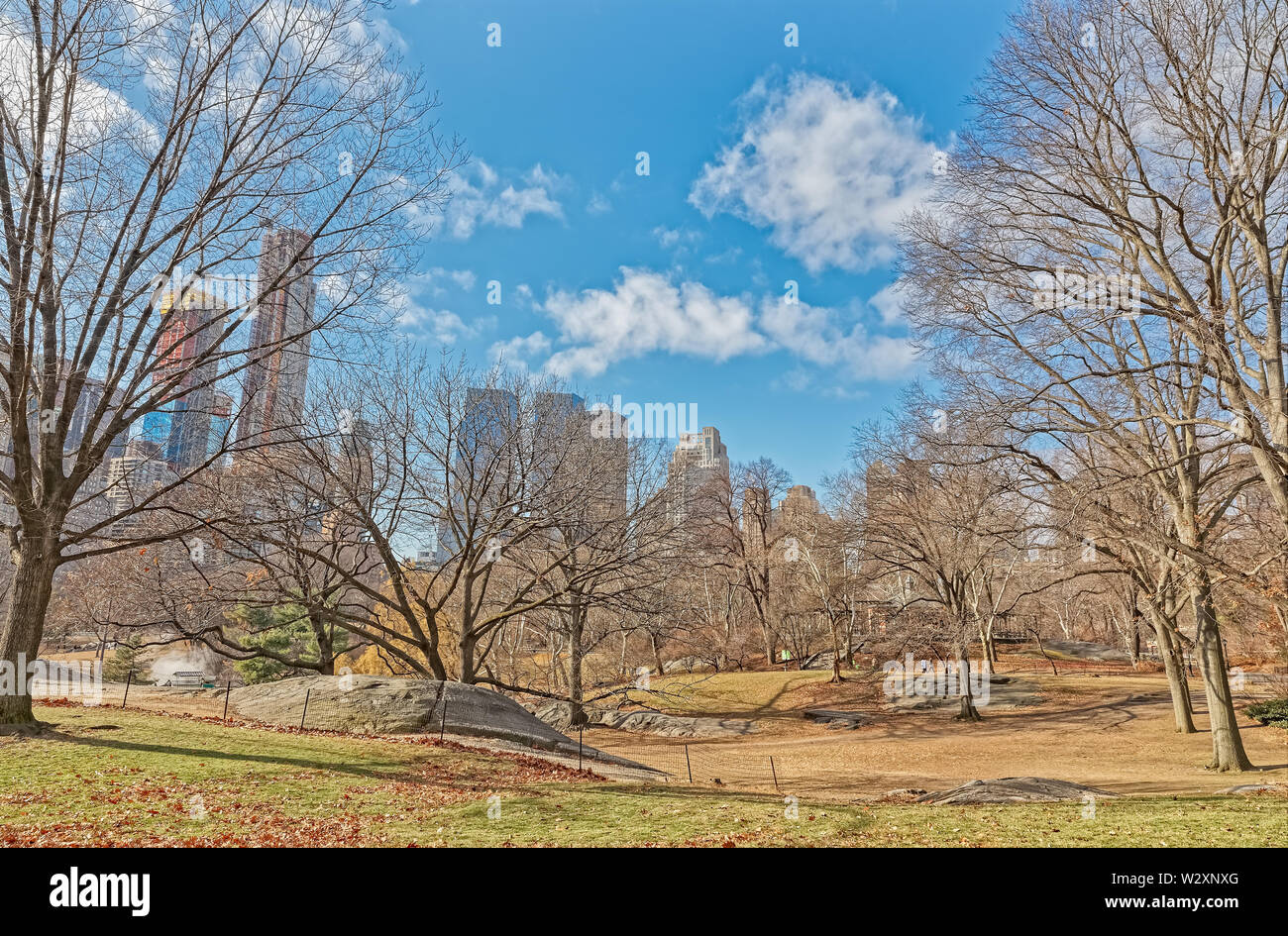 New York trees in Central Park winter time Stock Photo - Alamy