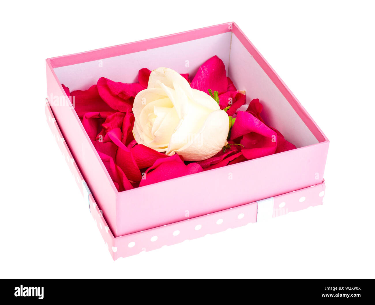 Pink roses in box Cut Out Stock Images & Pictures - Alamy