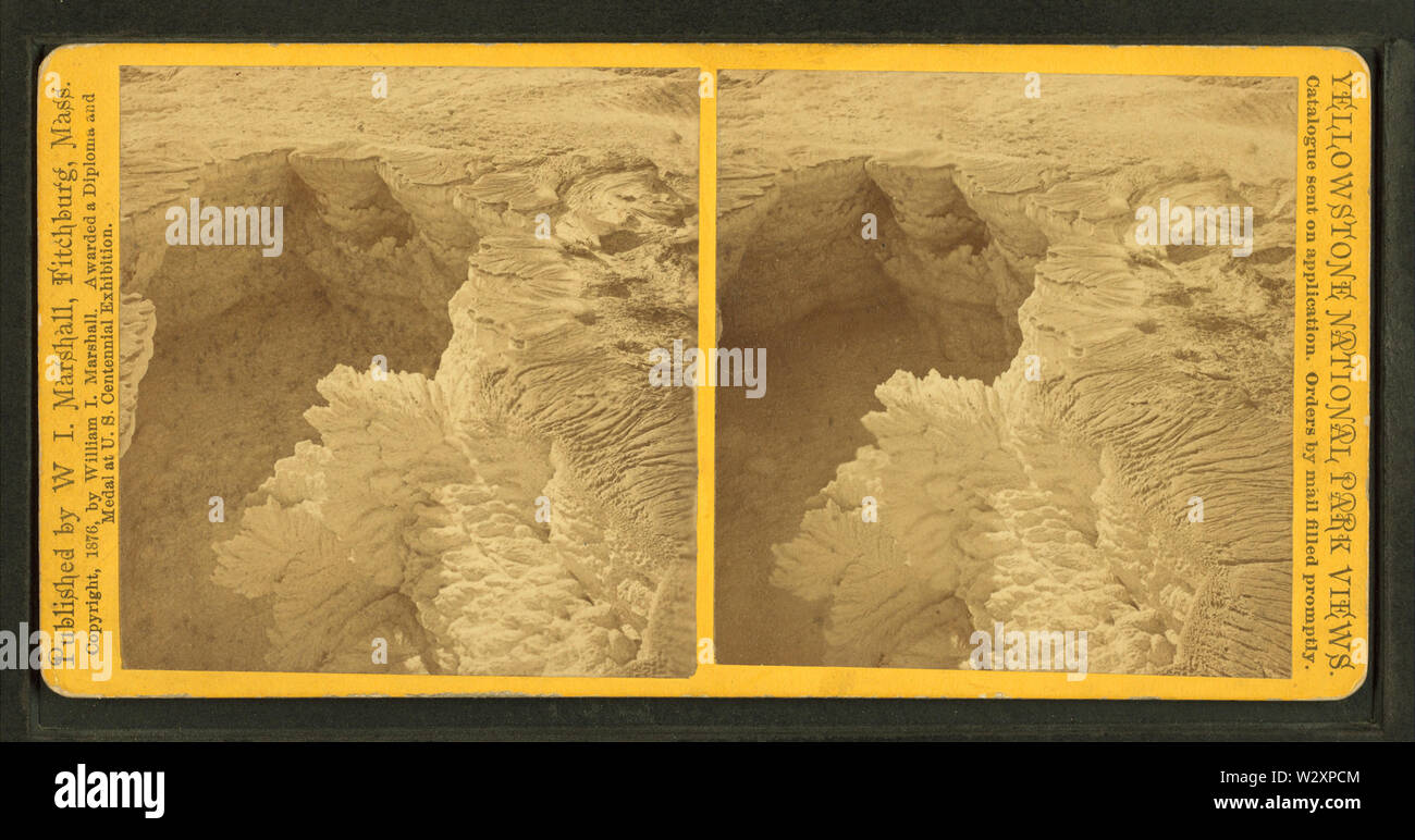 Leaf Form In Limestone 2nd View, by I W Marshall 3 Stock Photo - Alamy