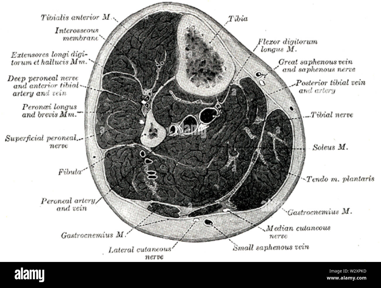 Assessment room Cut Out Stock Images & Pictures - Alamy