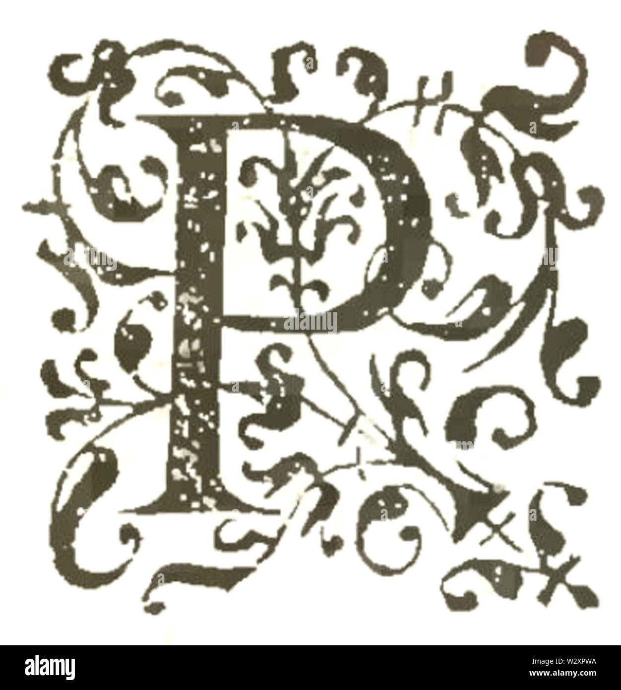 Lettrine p hi-res stock photography and images - Alamy