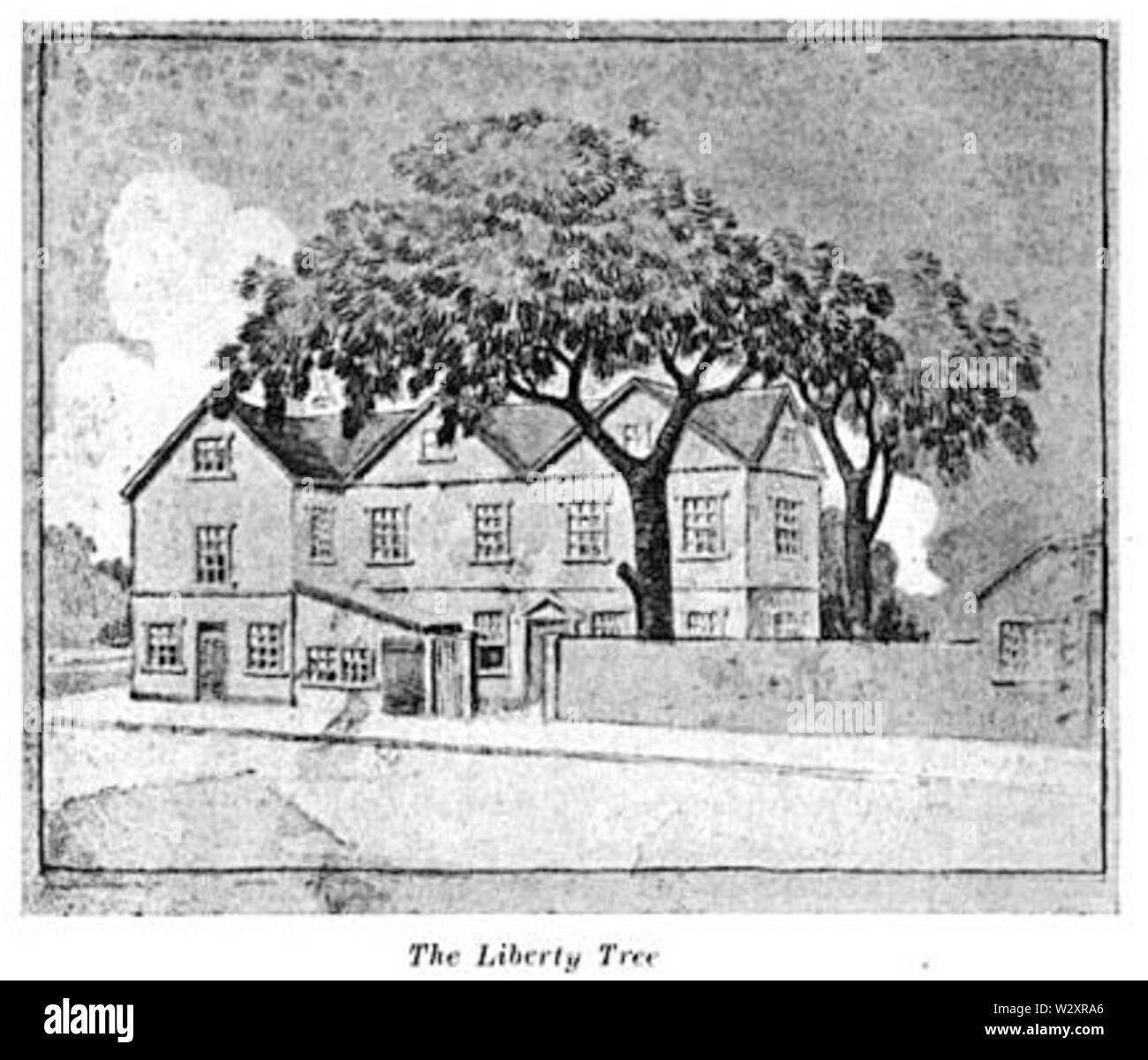 Tree of war Cut Out Stock Images & Pictures - Alamy