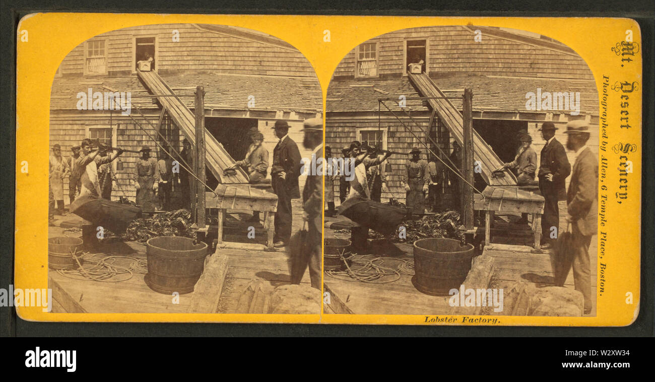 Lobster factory hi-res stock photography and images - Alamy