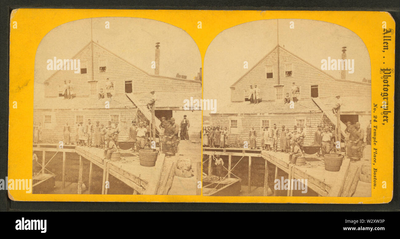 Lobster factory hi-res stock photography and images - Alamy