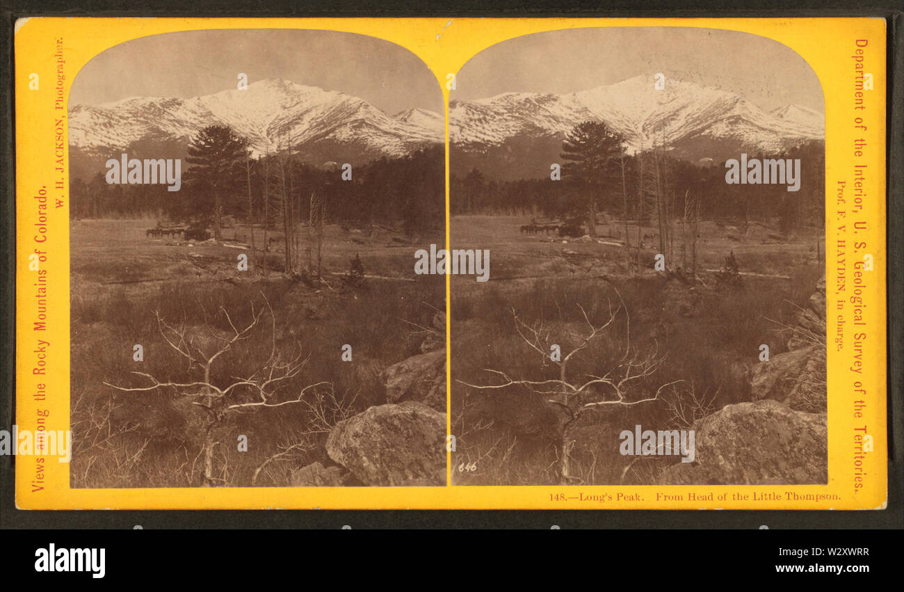 Jackson Thompson High Resolution Stock Photography and Images - Alamy