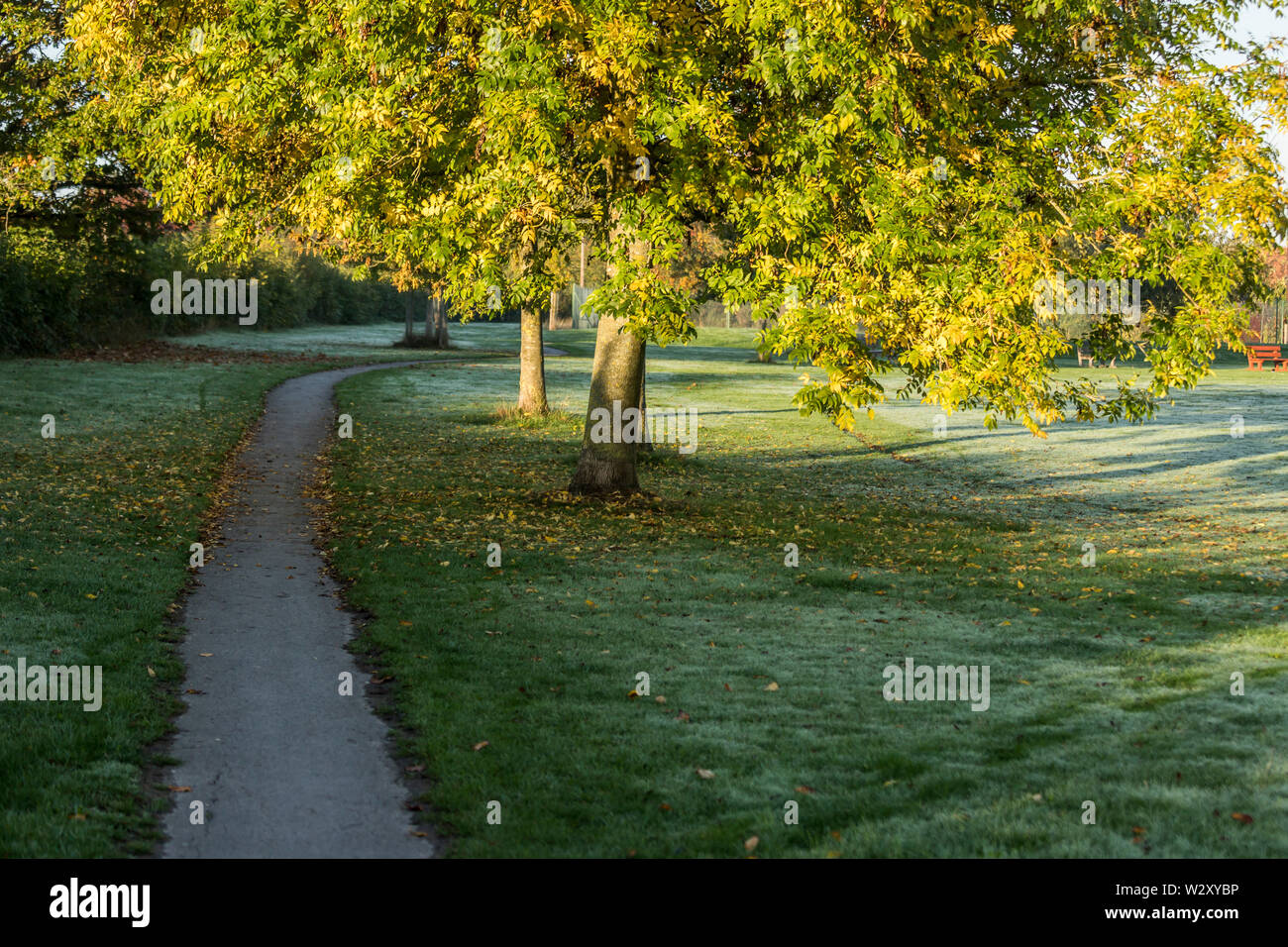 Bramley, Surrey, England, UK Location Imagery Stock Photo - Alamy