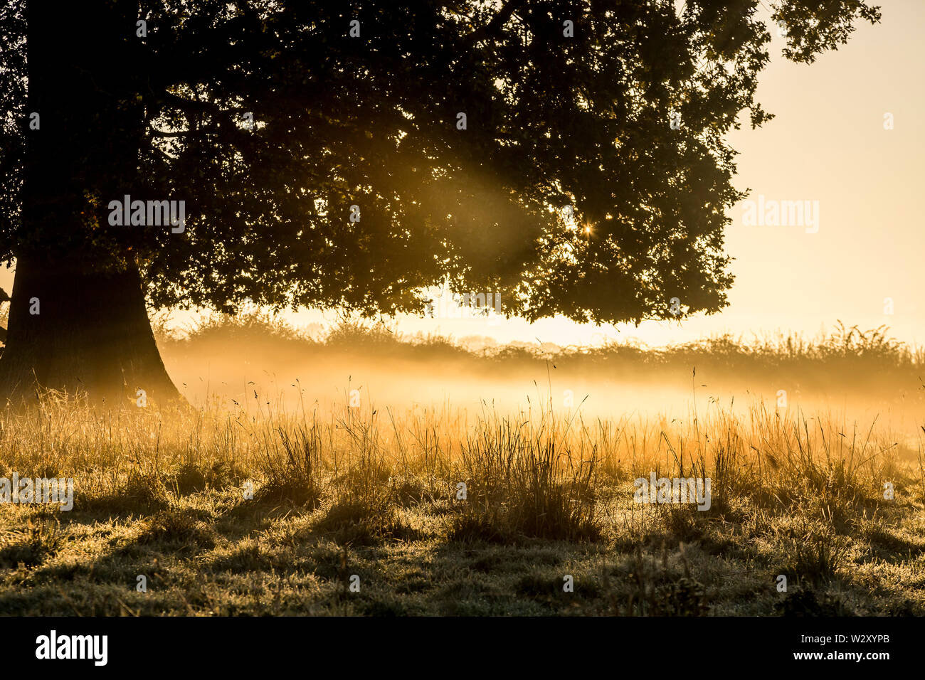 Bramley, Surrey, England, UK Location Imagery Stock Photo - Alamy