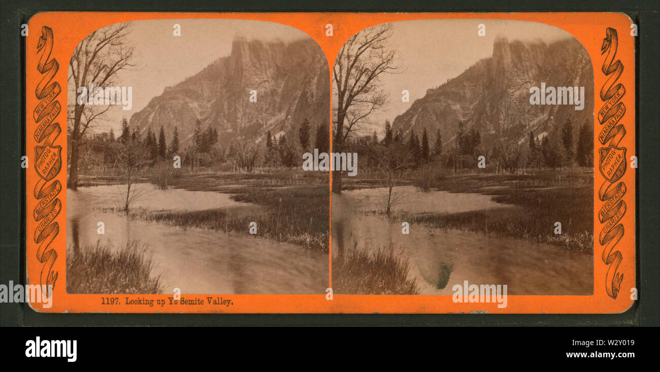 Looking up, Yo Semite Valley, by Bierstadt, Charles, 1819-1903 Stock ...