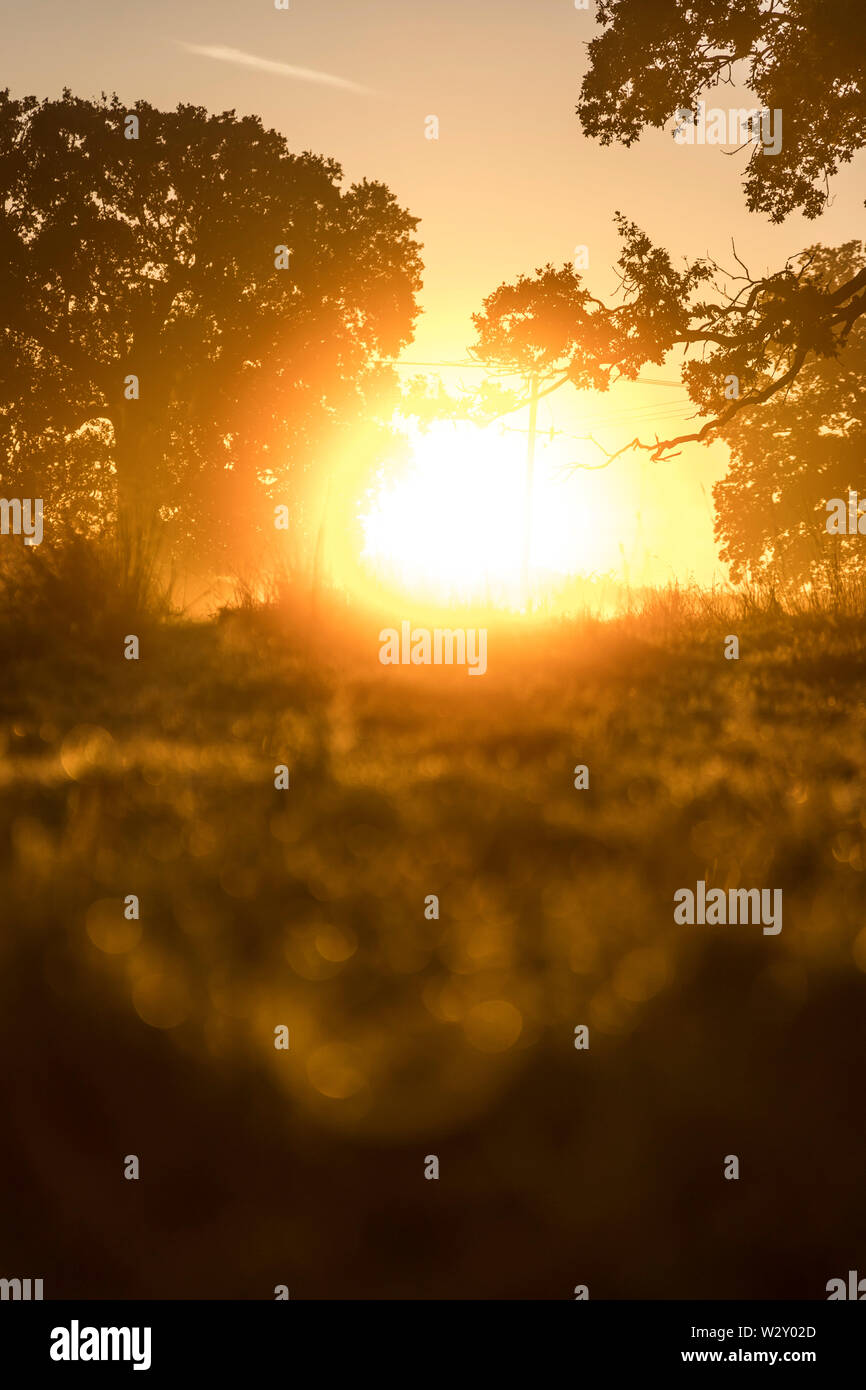 Bramley, Surrey, England, UK Location Imagery Stock Photo - Alamy