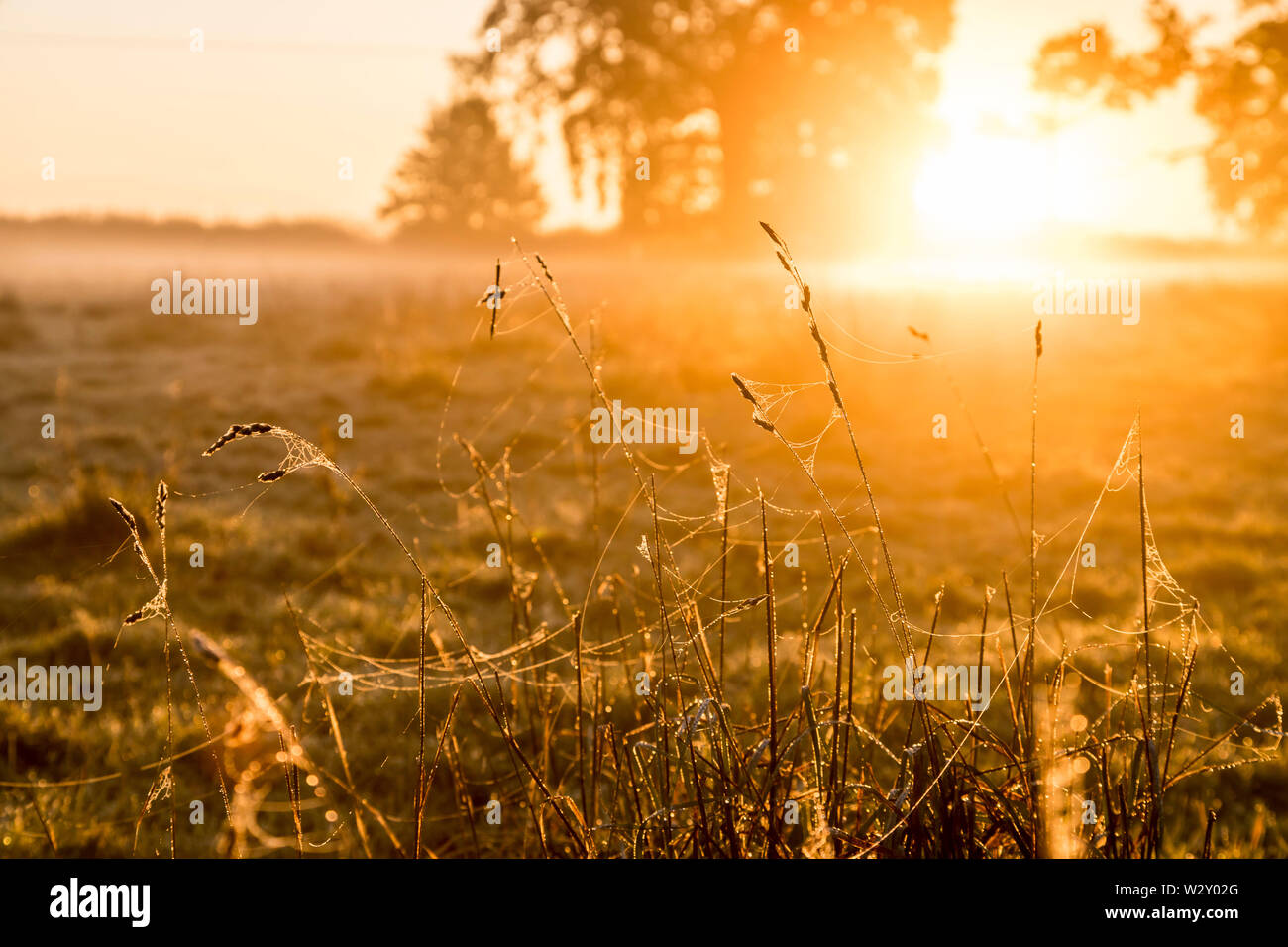Bramley, Surrey, England, UK Location Imagery Stock Photo - Alamy