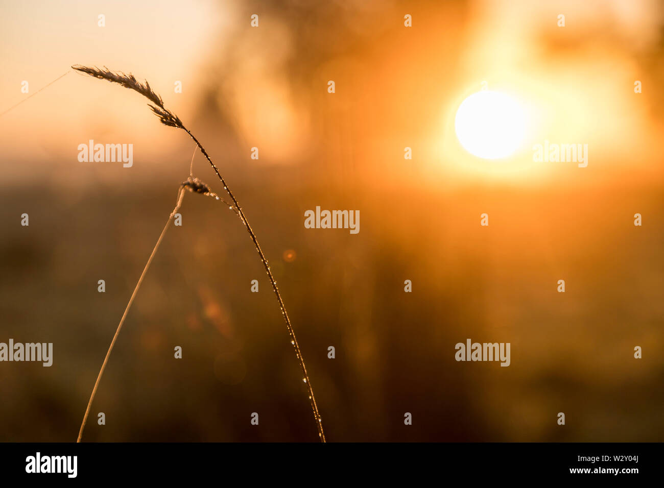 Bramley, Surrey, England, UK Location Imagery Stock Photo - Alamy