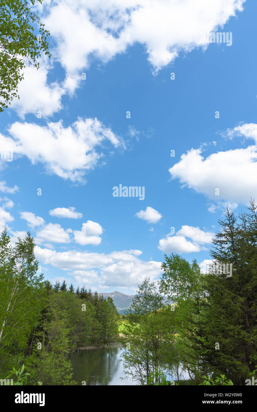 Summer View Nature Sky