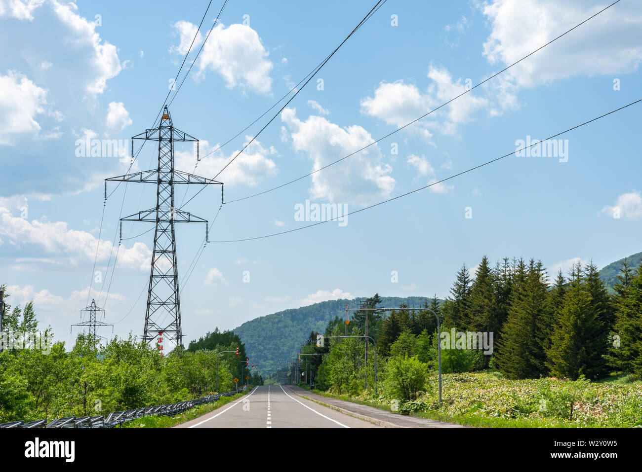 Electricity transmission power lines High voltage tower on green nature ...