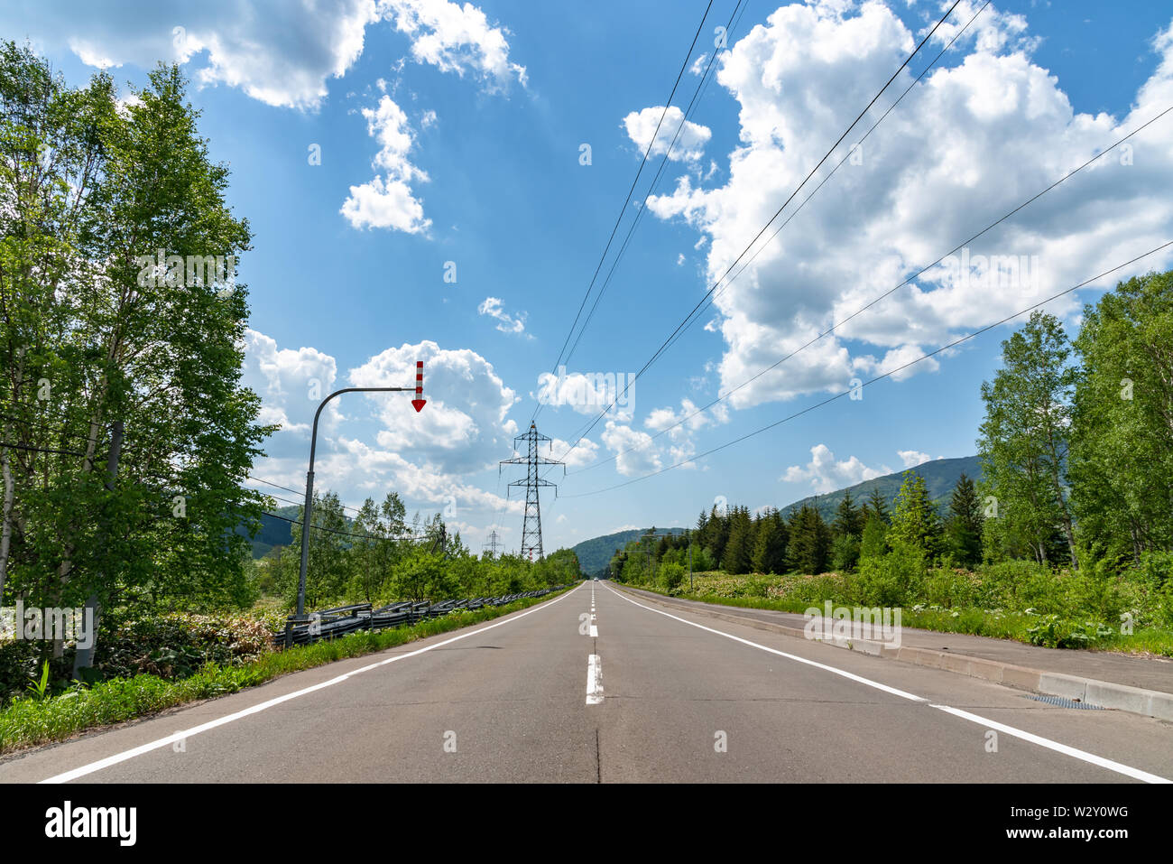 Electricity transmission power lines High voltage tower on green nature ...