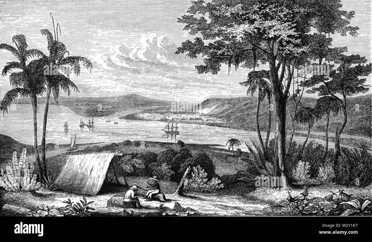 MASR V2 D239 Tampico Stock Photo - Alamy