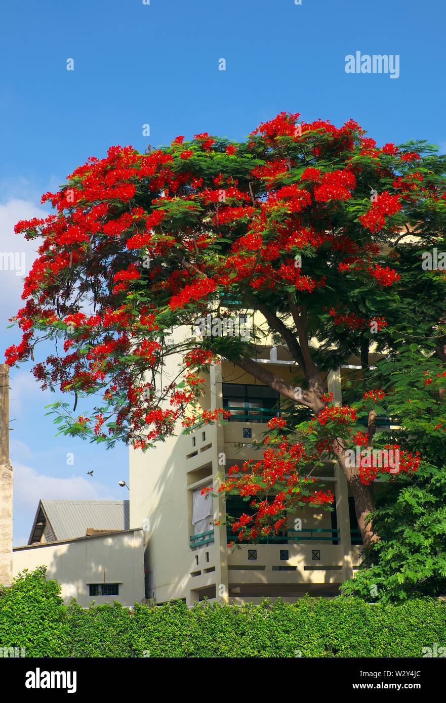 School building saigon hi-res stock photography and images - Alamy