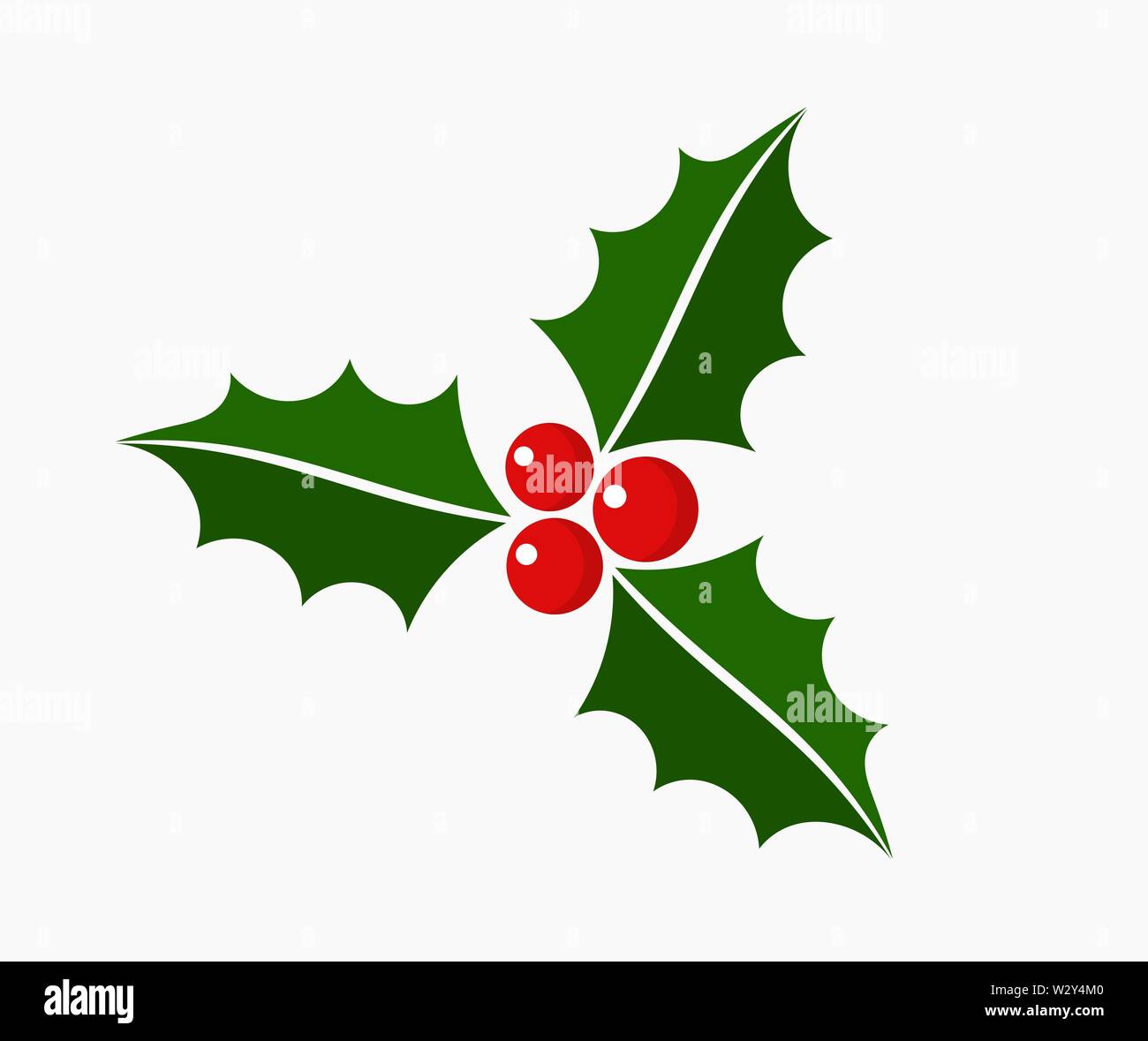 Winterberry Vector Vectors High Resolution Stock Photography and Images ...