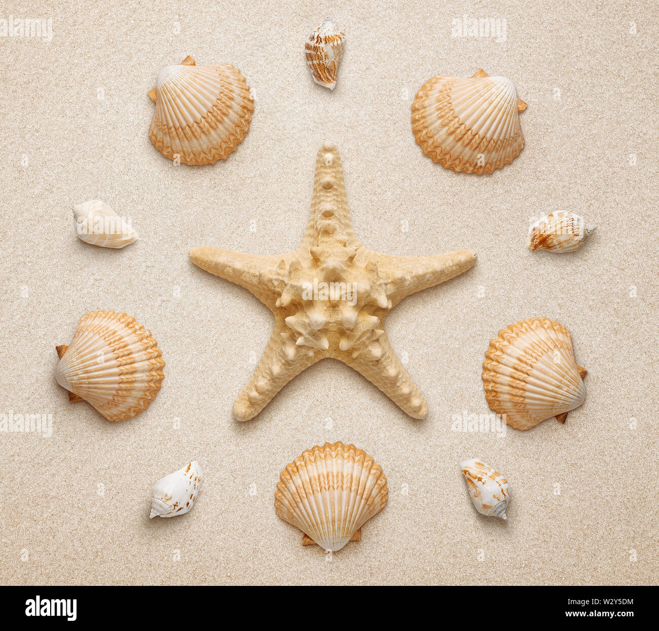 Starfish beach sand texture hi-res stock photography and images - Alamy