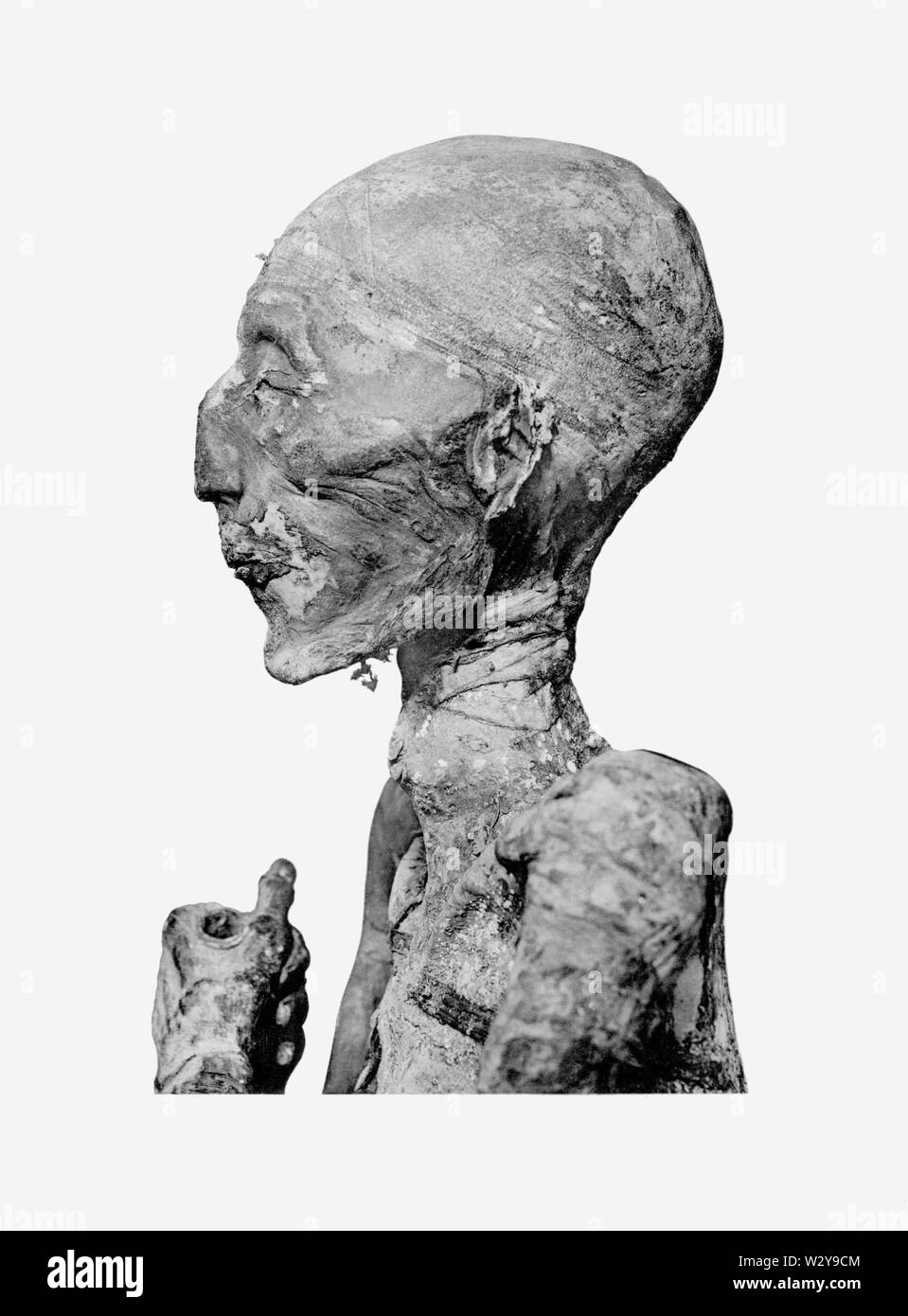 Artifact profile hi-res stock photography and images - Alamy