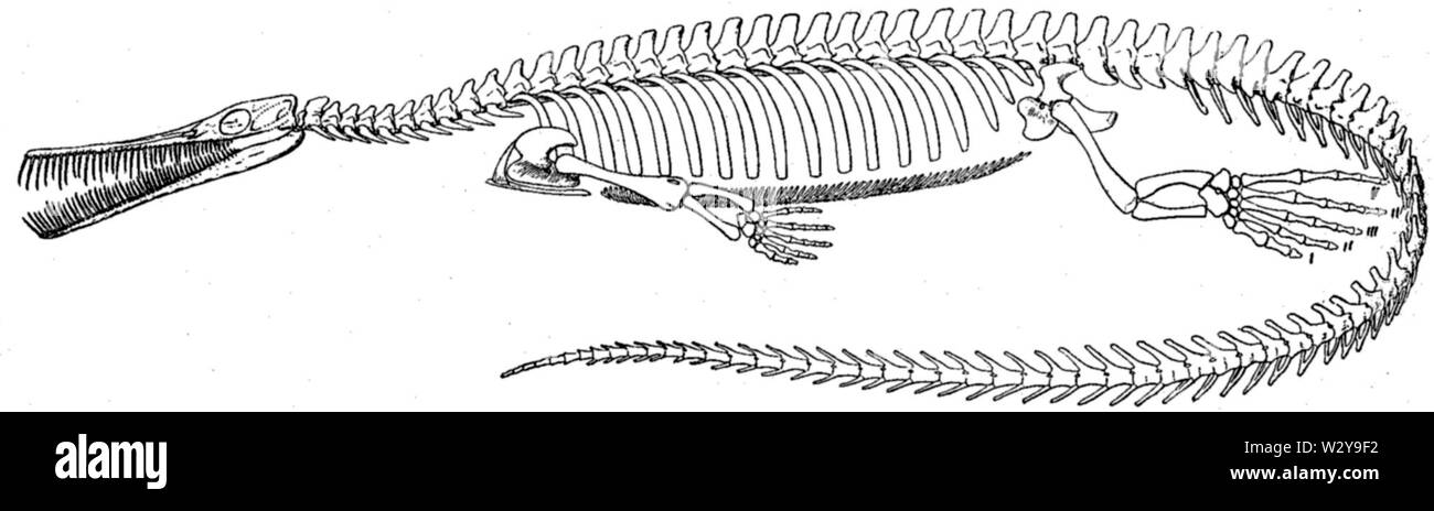 Period lifestyle Cut Out Stock Images & Pictures - Alamy