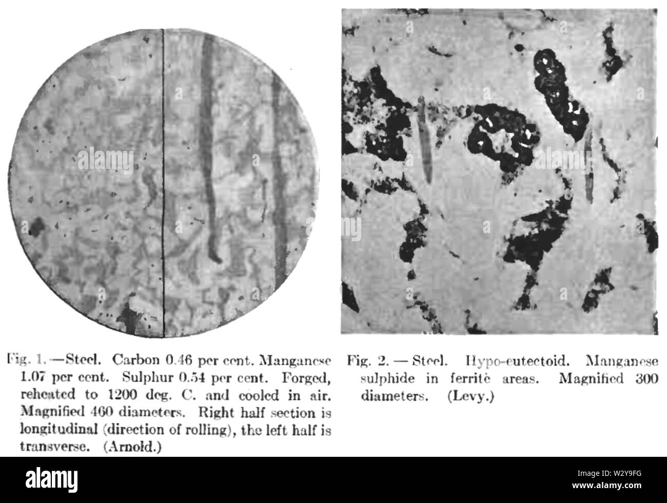 Metallography of iron MnS inclusions Stock Photo - Alamy