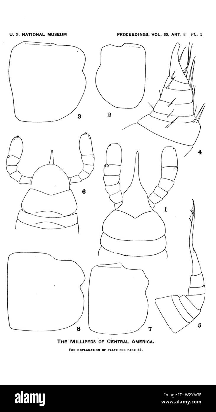 Native american central america Black and White Stock Photos & Images ...