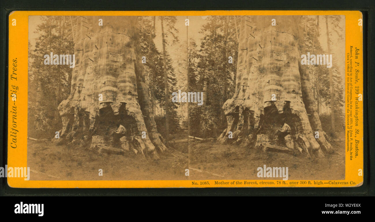 Over 300 ft hi-res stock photography and images - Alamy