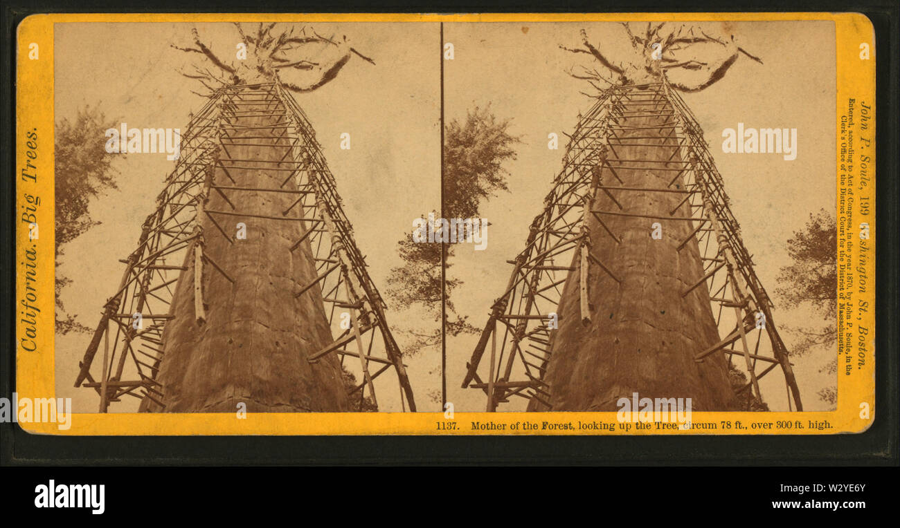 Over 300 ft hi-res stock photography and images - Alamy