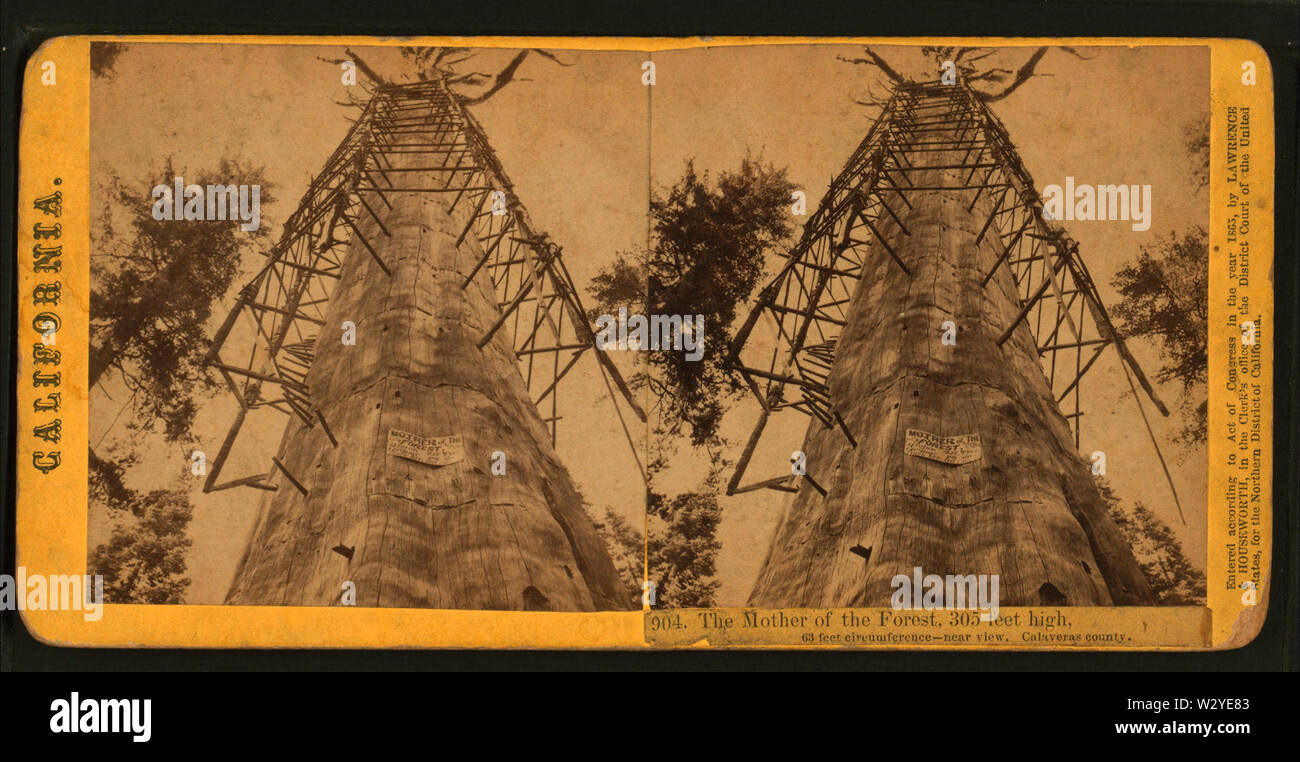 305 feet hi-res stock photography and images - Alamy