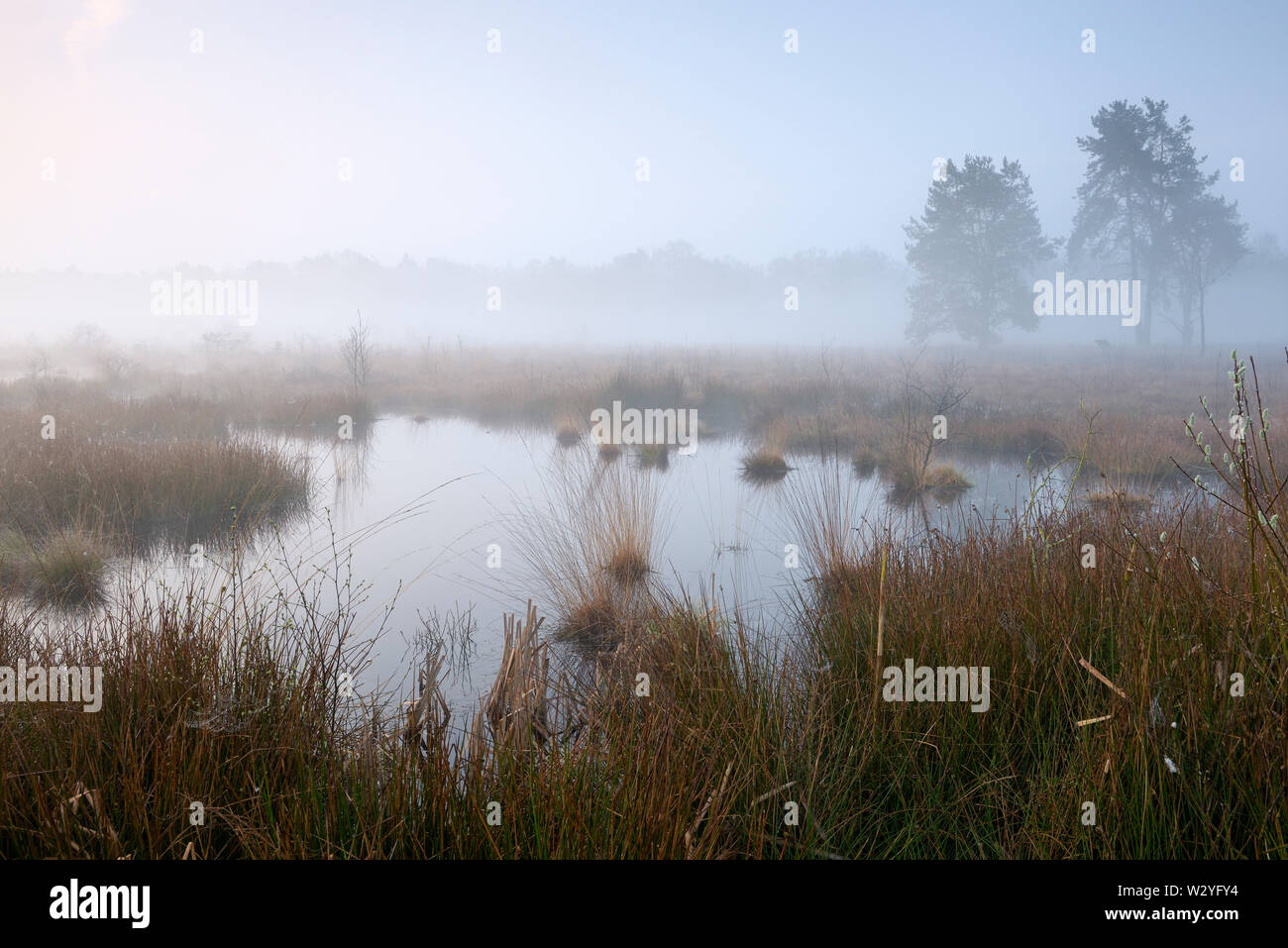 Misty morning images hi-res stock photography and images - Alamy