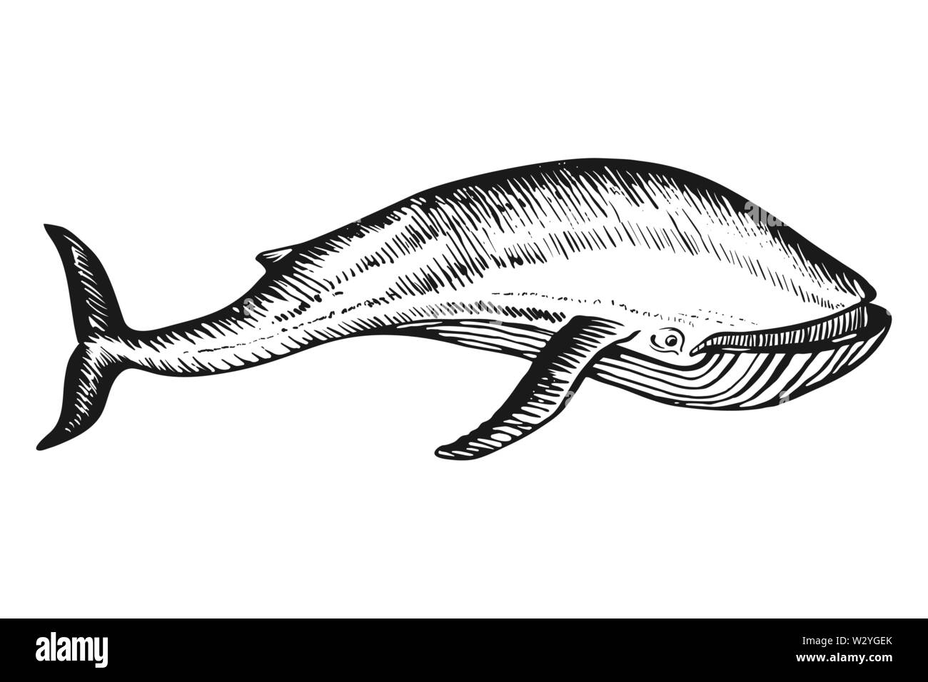 Hand drawn blue eye Stock Vector Images - Alamy