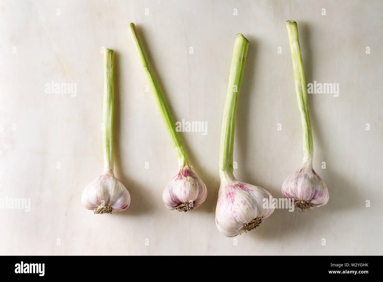 Bundle of young garden garlic Stock Photo - Alamy
