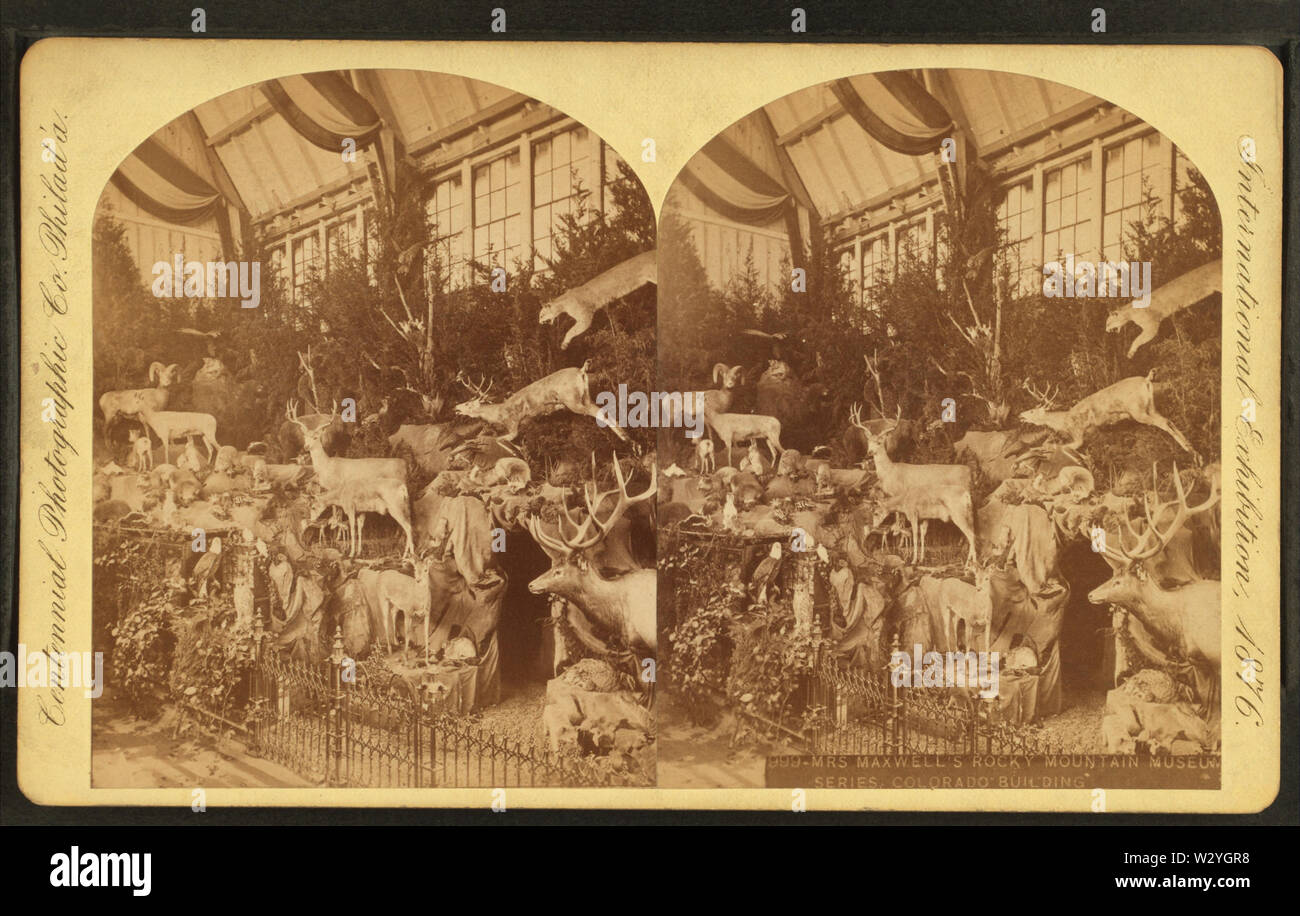 Mrs Maxwell's Rocky Mountain Museum series, Colorado building, by ...