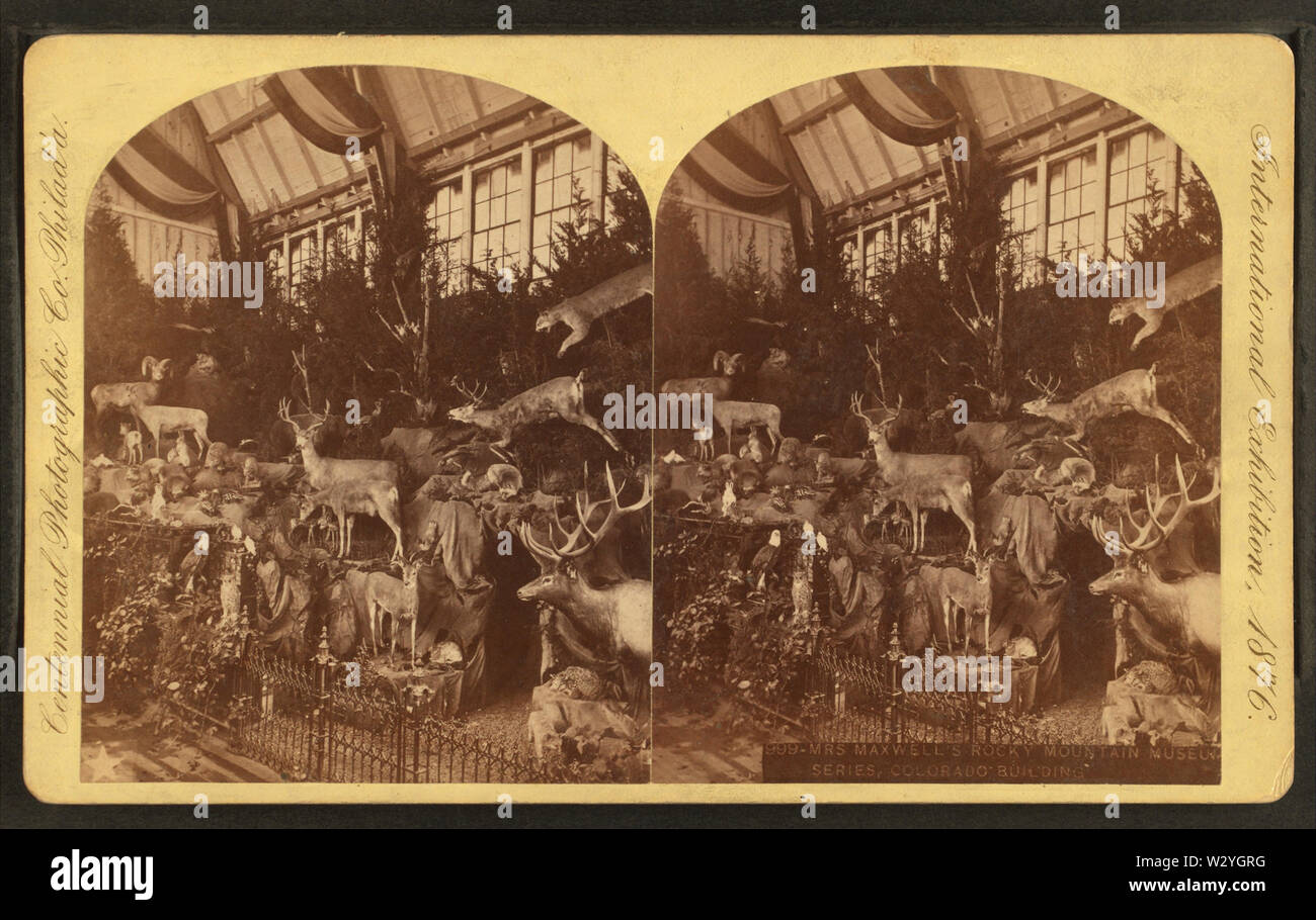 Mrs Maxwell's Rocky Mountain Museum series, Colorado building, by ...