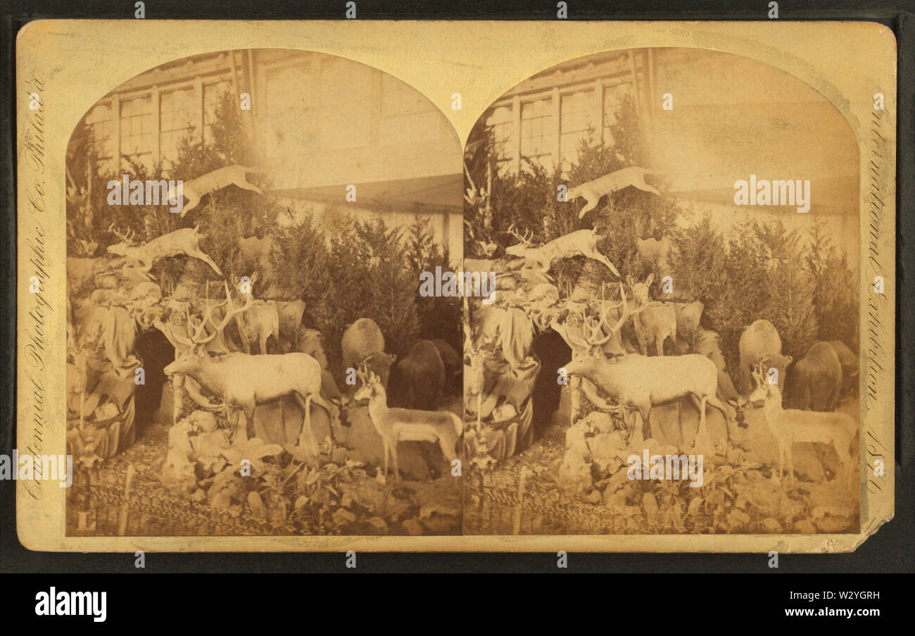 Mrs Maxwell's Rocky Mountain Museum series, Colorado building, by ...