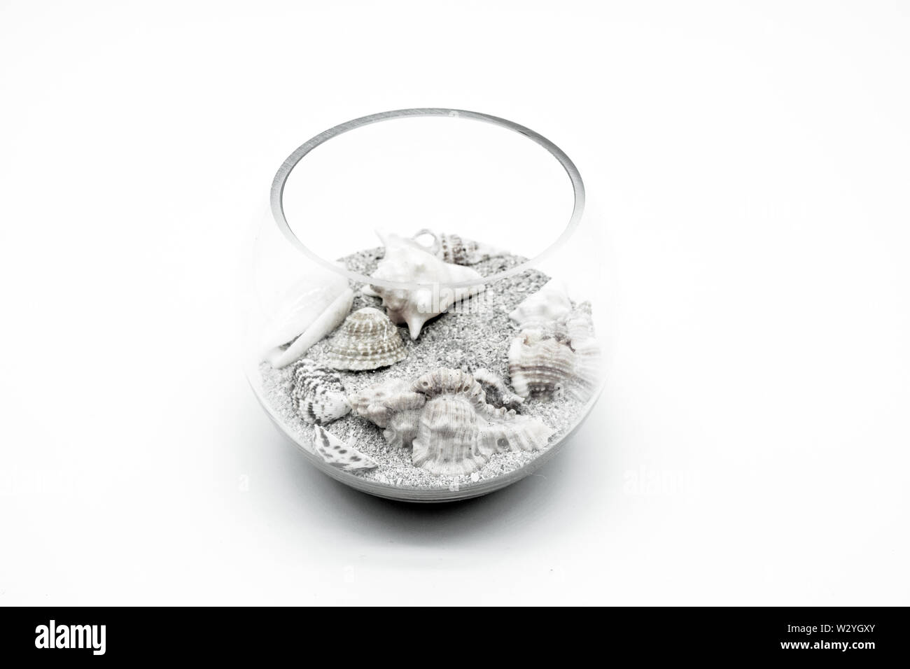 shells with sand in glass bowl isolated on white background clipping ...
