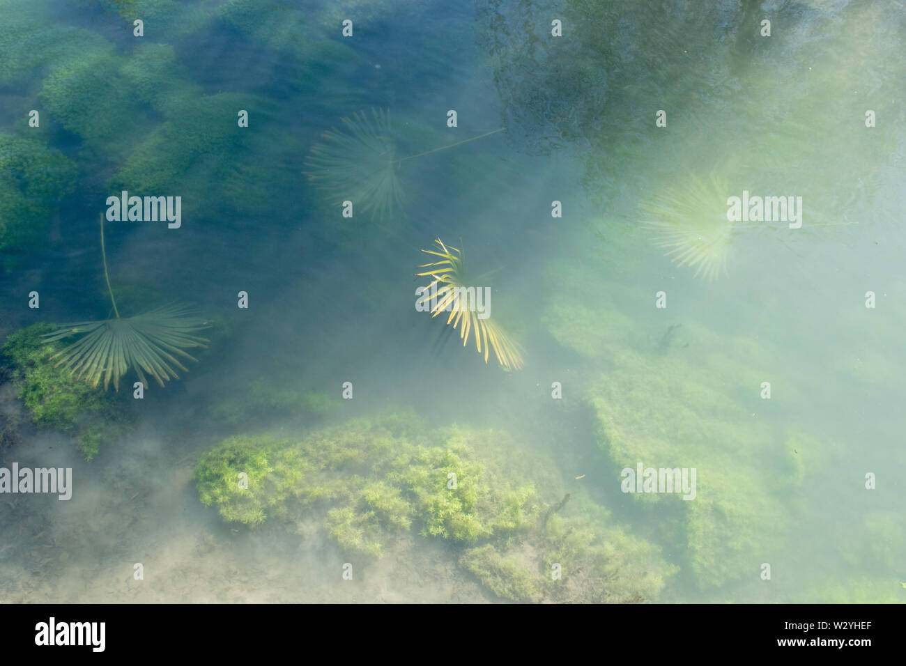 Resurgent river hi-res stock photography and images - Alamy