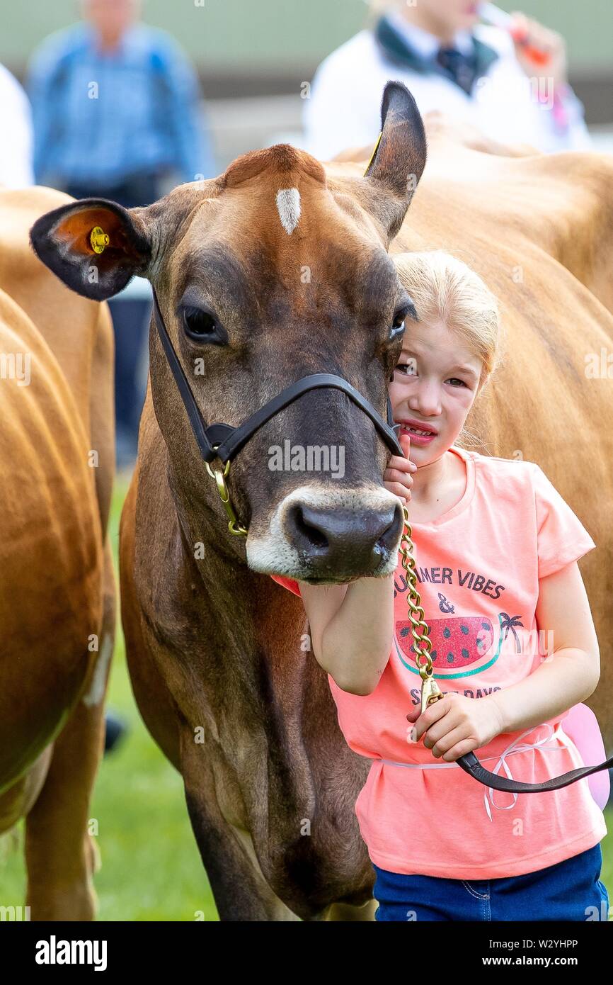 Showjumping horse and handler hi-res stock photography and images - Alamy