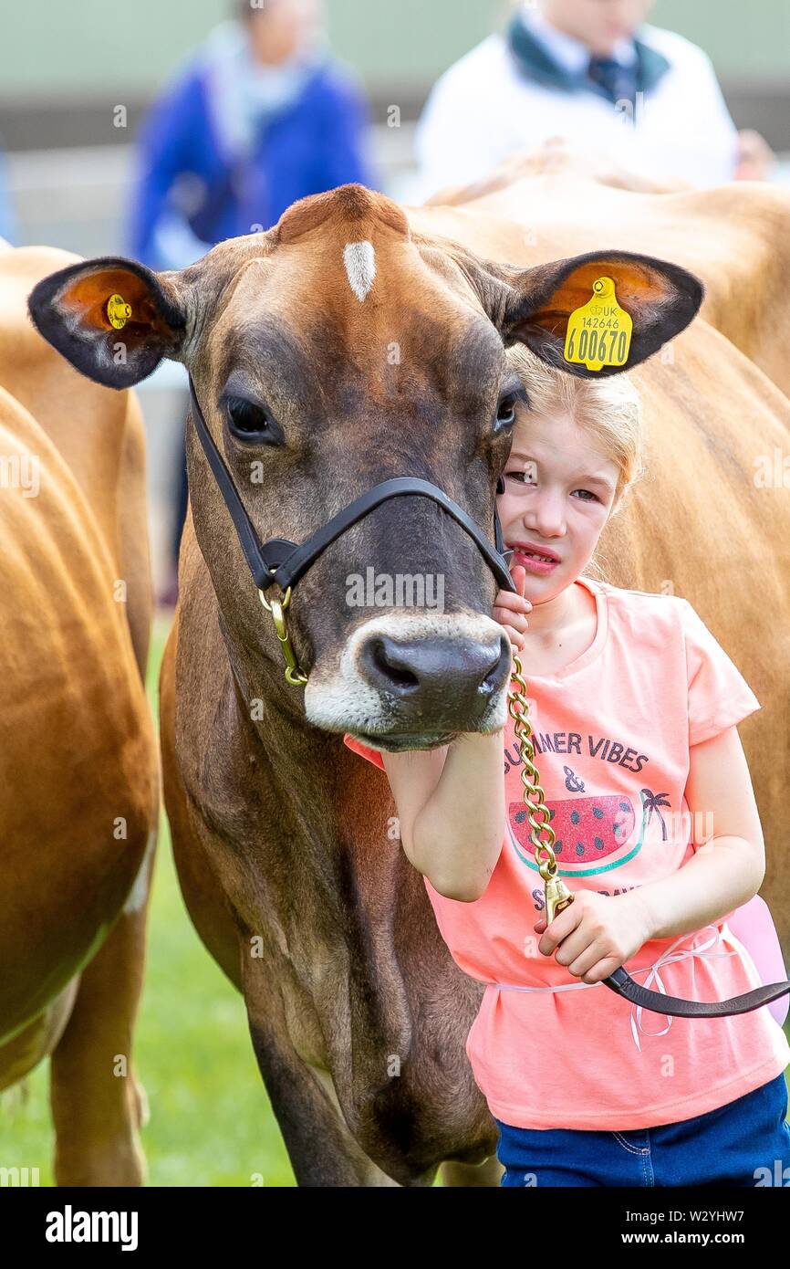 Showjumping horse and handler hi-res stock photography and images - Alamy