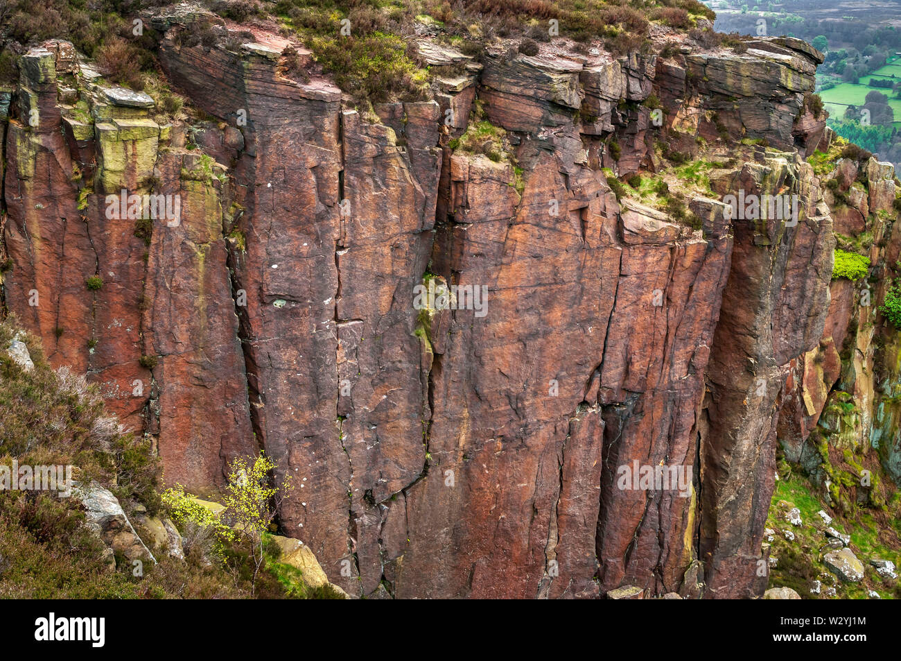 High working face on a homogenous block with few beddings at Millstone ...