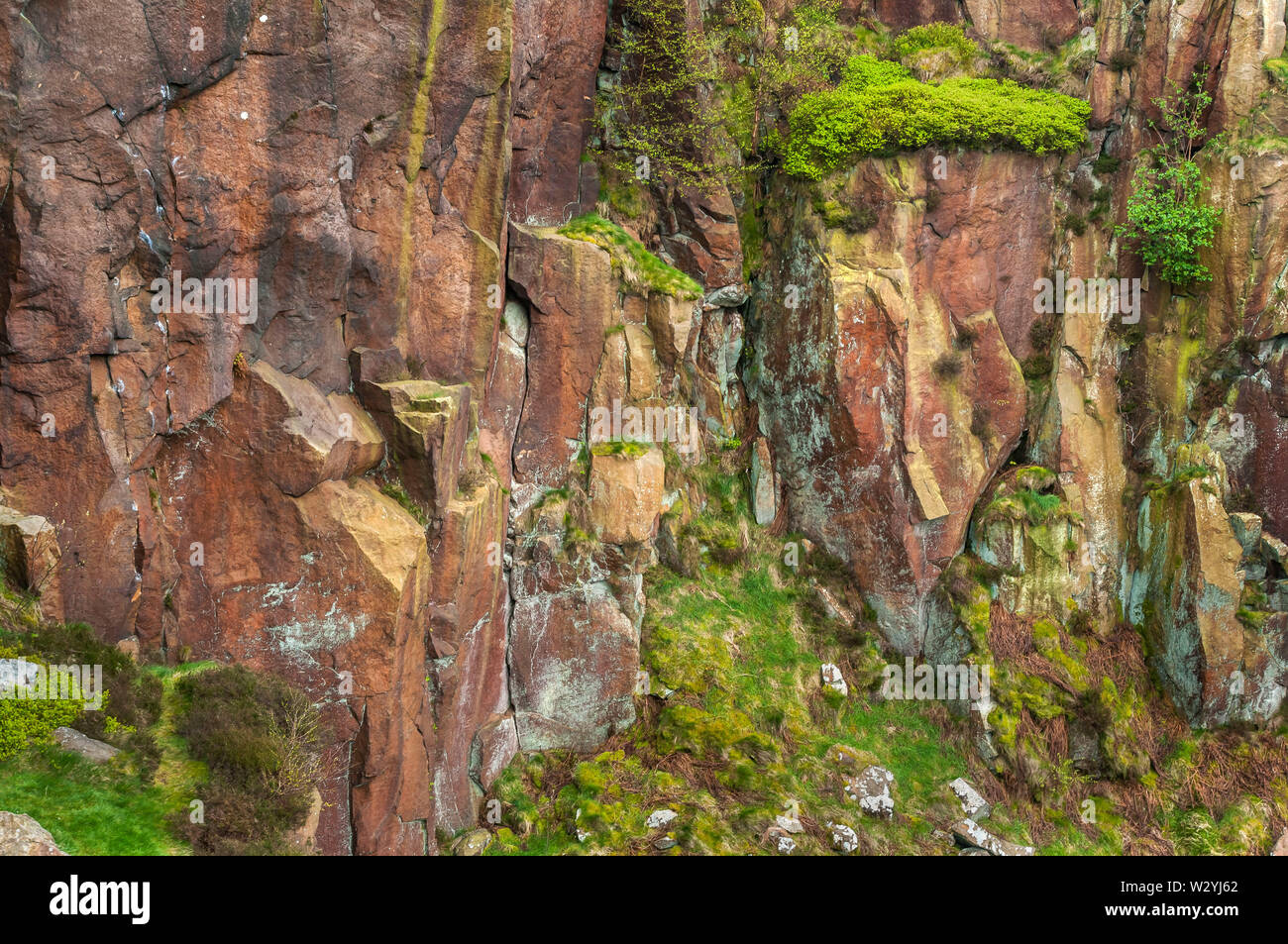 Side view of an overhanging outcrop of gritstone topped with bilberry ...