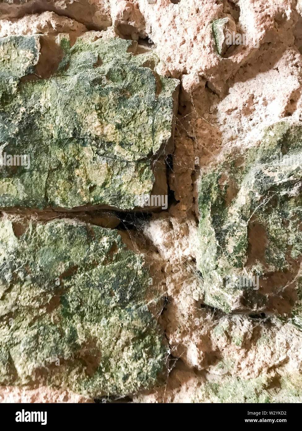 Stone surface with green mold Stock Photo - Alamy