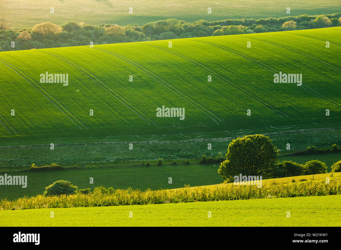 Uk springtime hi-res stock photography and images - Alamy