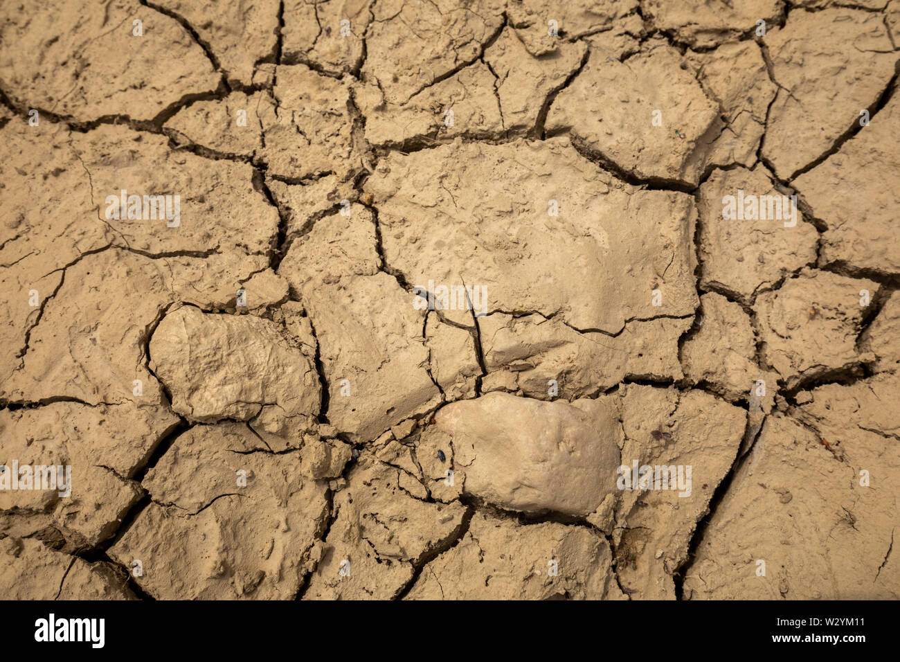 Natural Disaster Drought