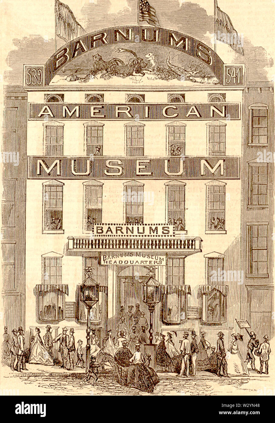 New Barnum's American Museum, New York City Stock Photo - Alamy