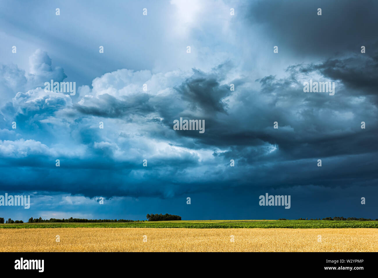 Storm clouds with shelf cloud and intense rain Stock Photo - Alamy