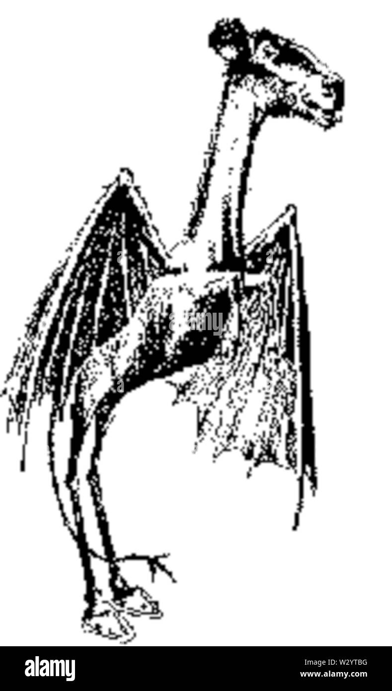 Nhl teams logo hi-res stock photography and images - Alamy