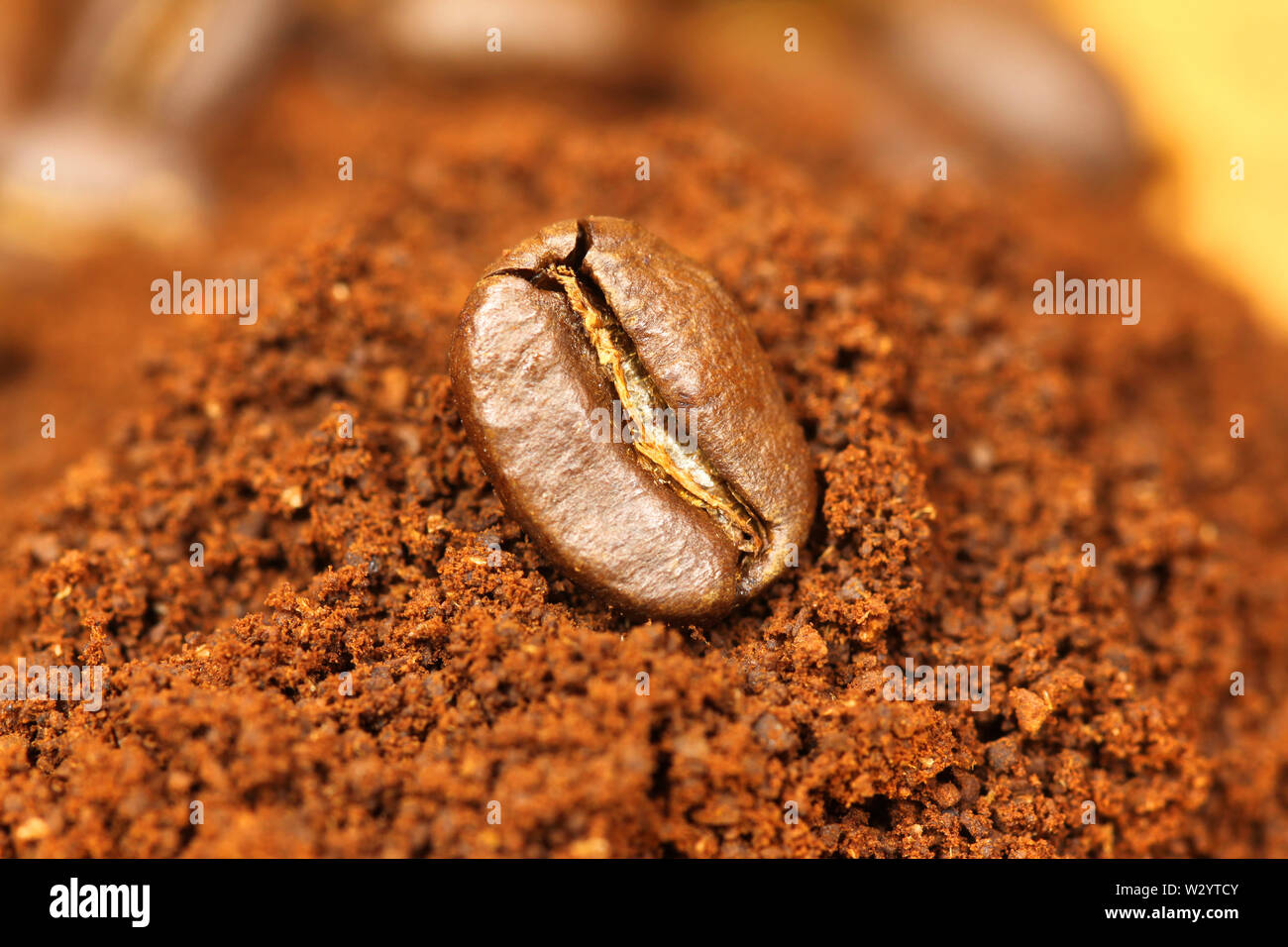 Closeup of arabic coffee bean on ground coffee Stock Photo - Alamy