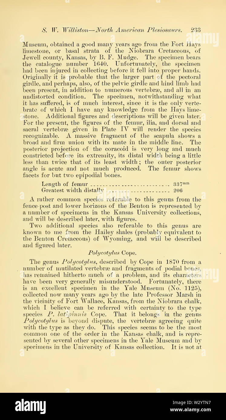 North American Plesiosaurs Elasmosaurus, Cimoliasaurus, and ...