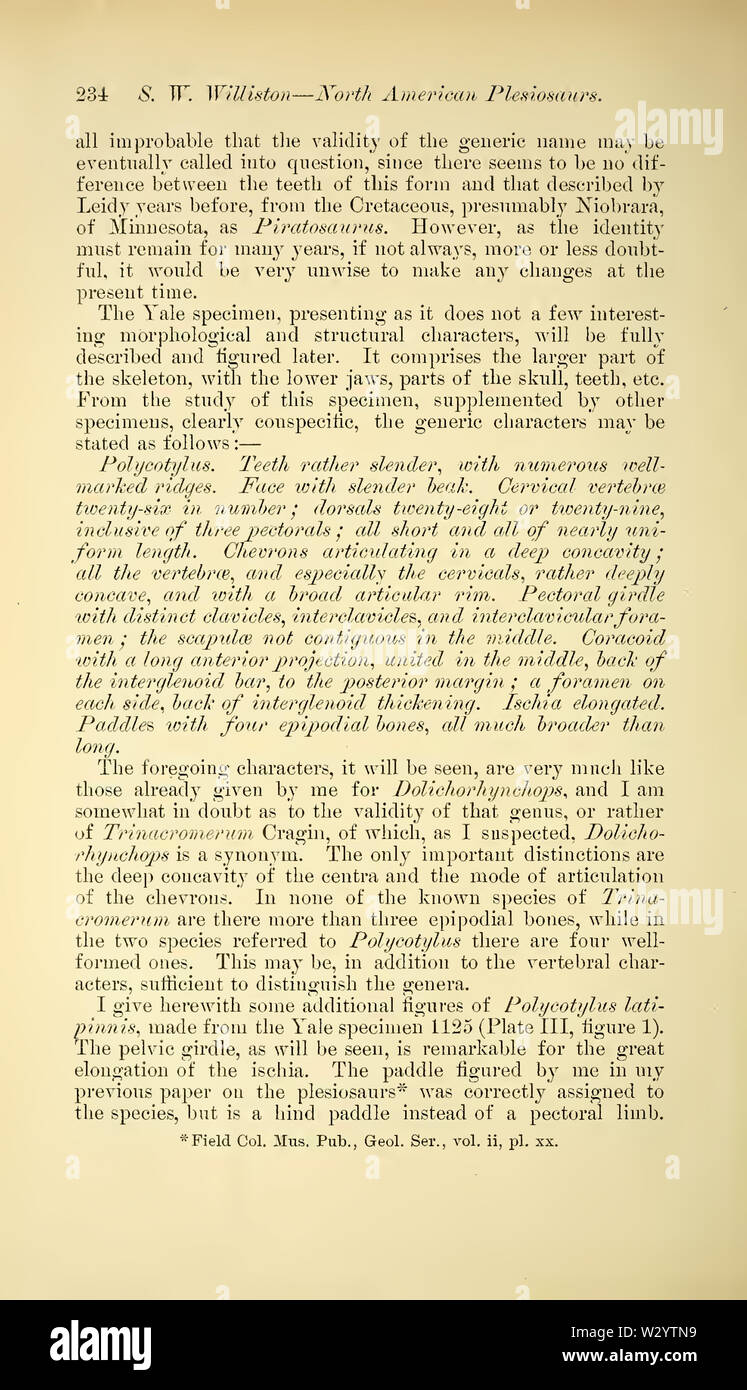 North American Plesiosaurs Elasmosaurus, Cimoliasaurus, and ...